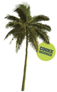 Home - Cooke Insurance