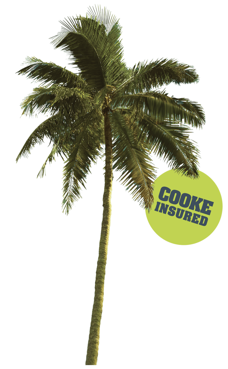 Home - Cooke Insurance