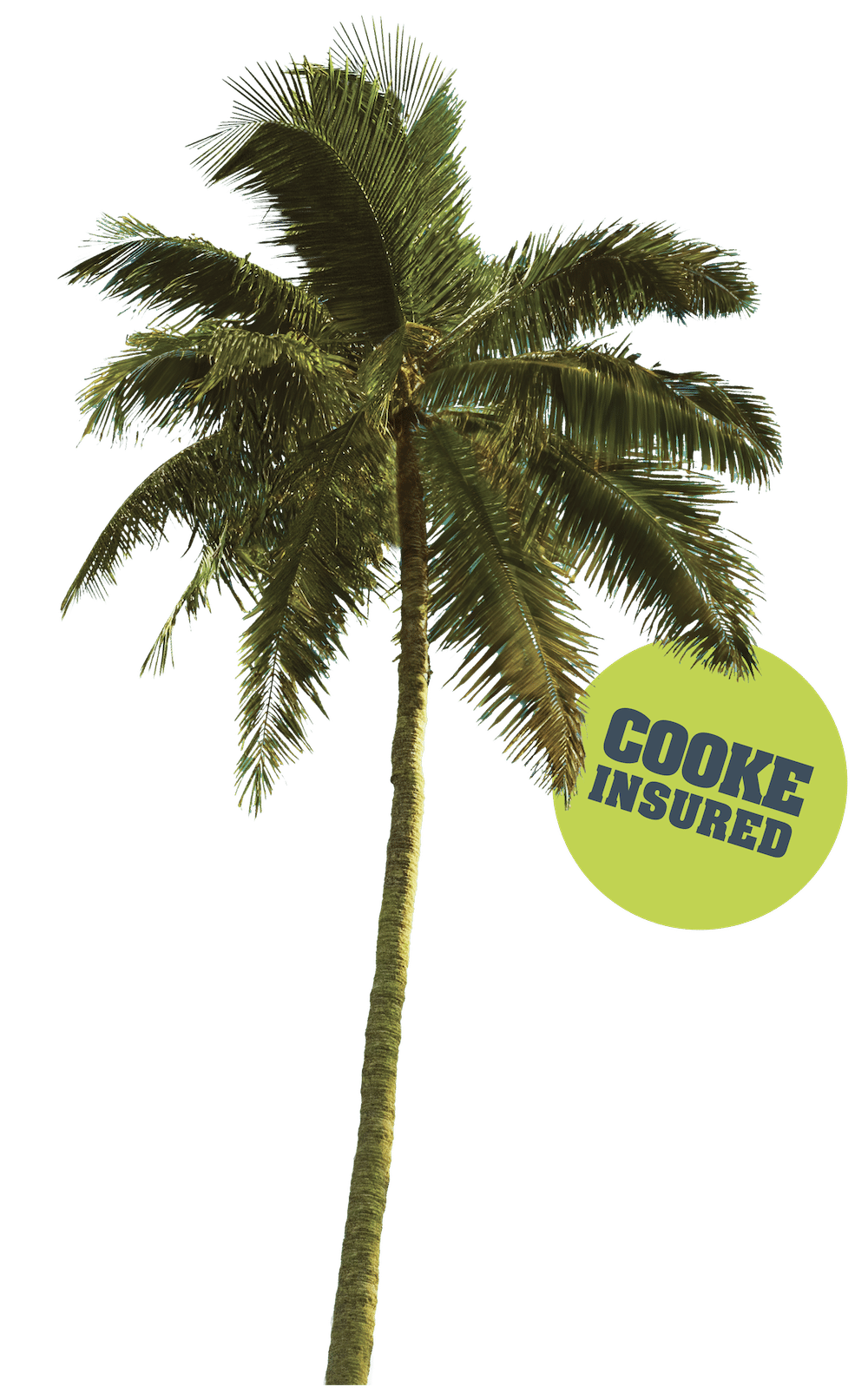 Home - Cooke Insurance